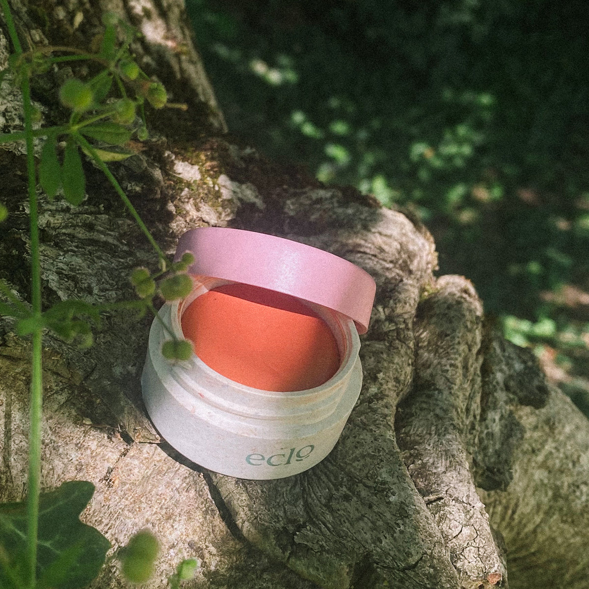 Blush 004 Corail Breeze – eclo